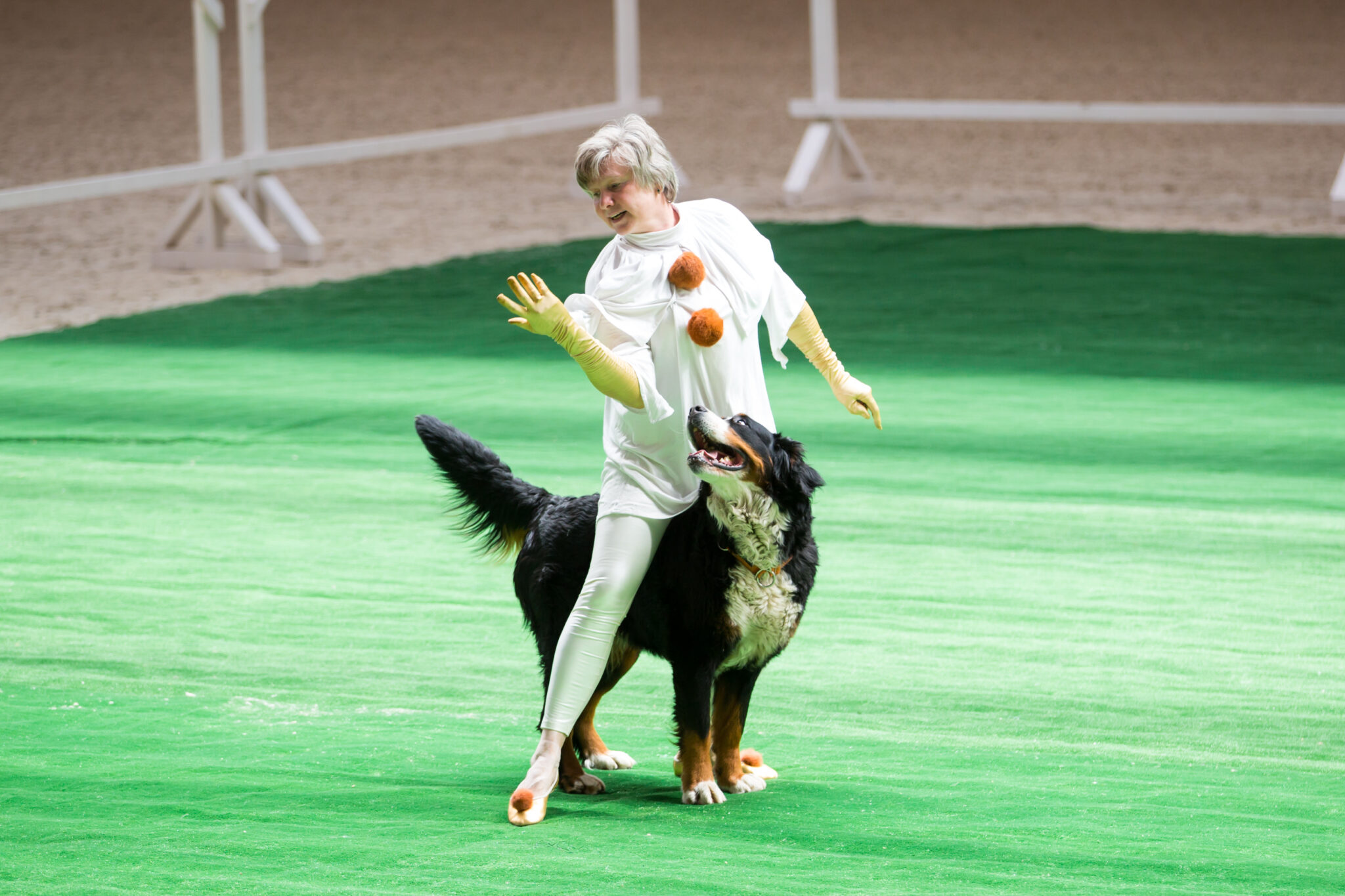 MAXIMA PARK - загородный парк‑отель с конным клубом, SPA, ресторанами и ...