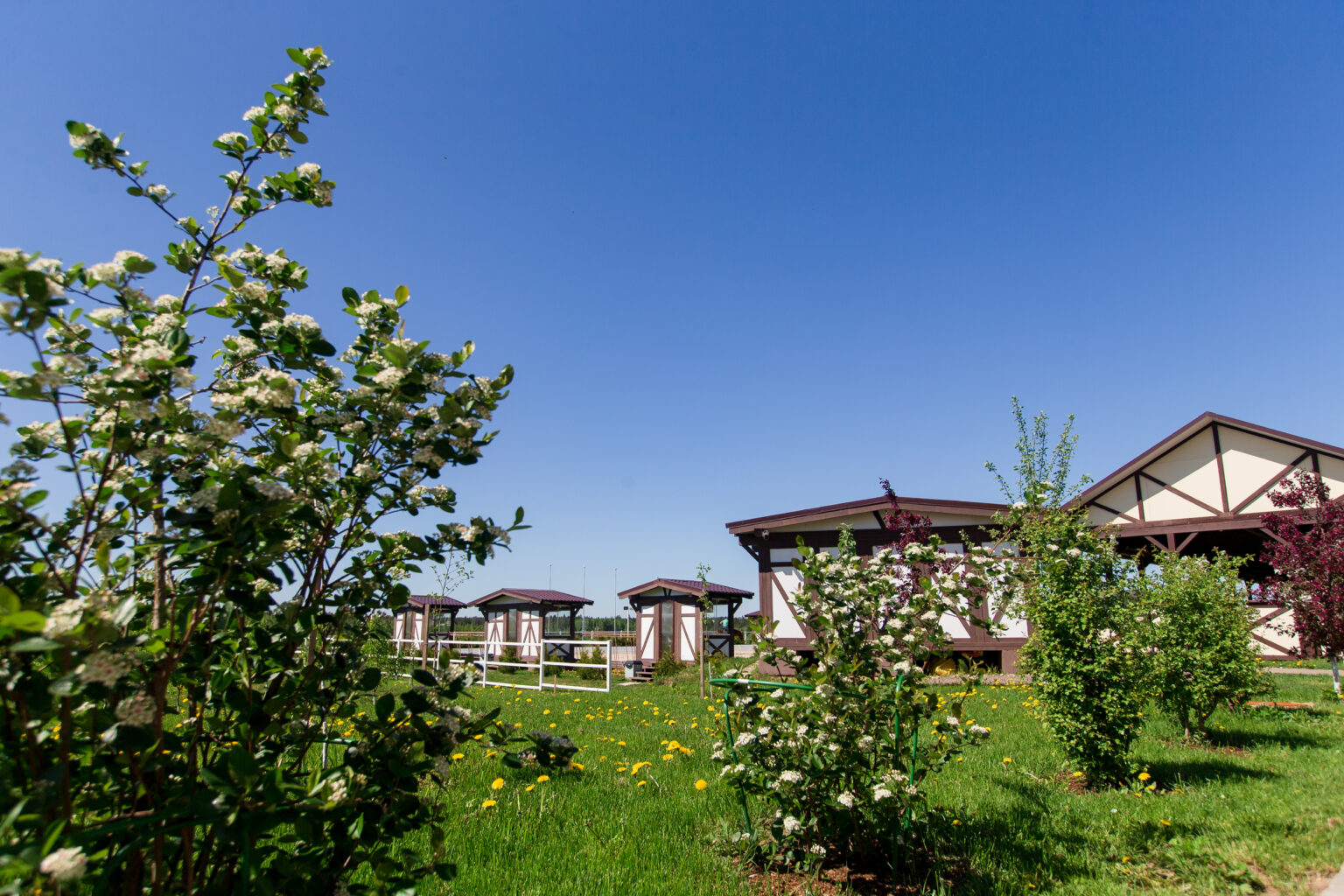 Парк отель MAXIMA PARK — отдых, природа, активности для всей семьи в ...